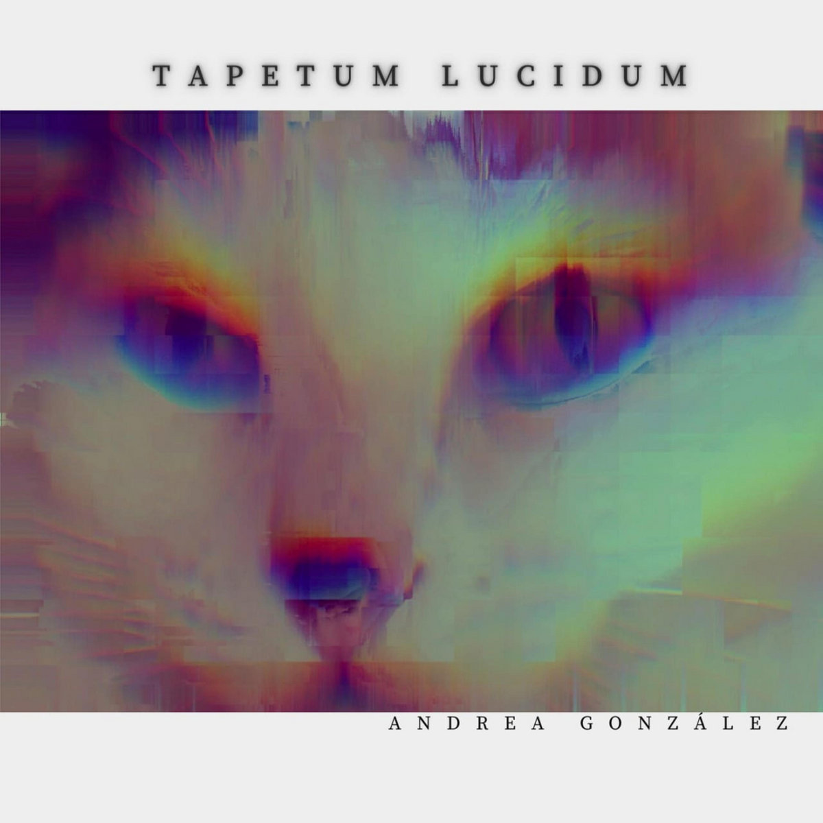 Tapetum Lucidum