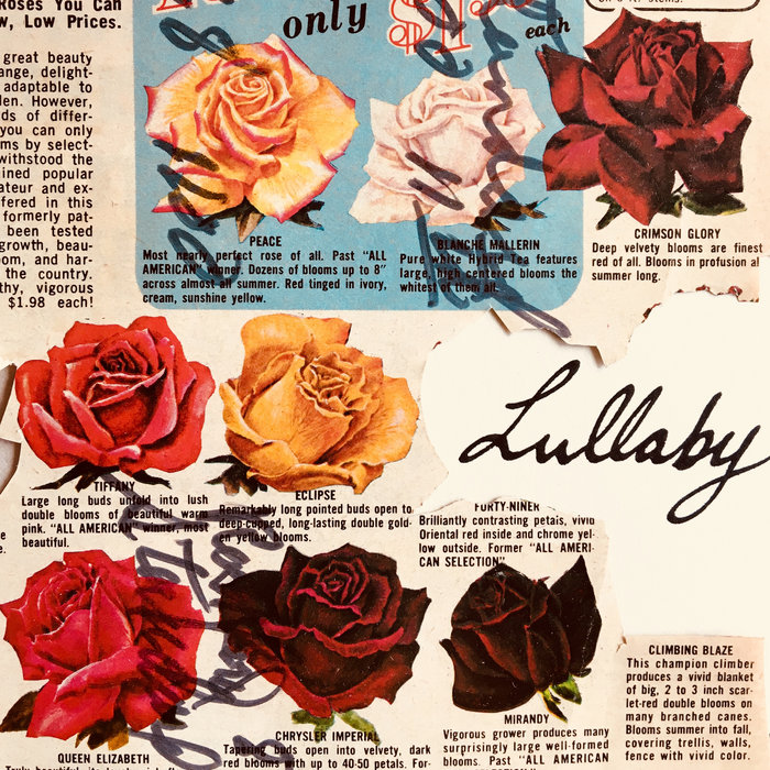 Lullaby | Kate Renegade