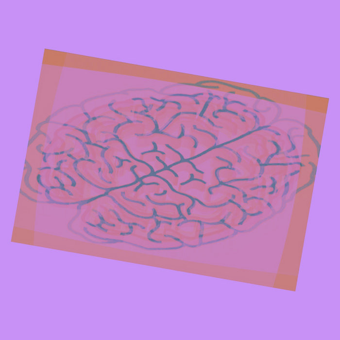 brain garden | .wav matthews