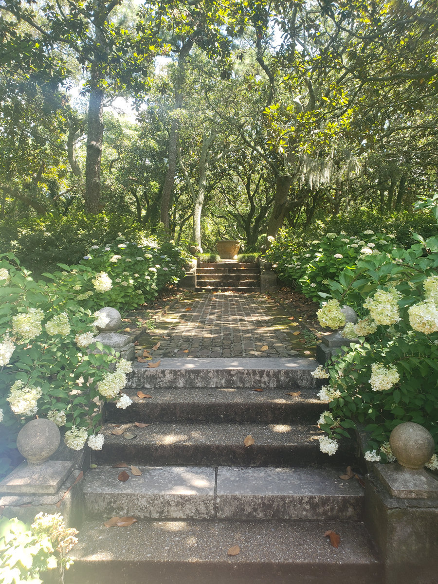 Homebound Worlds | Ellis Pierce