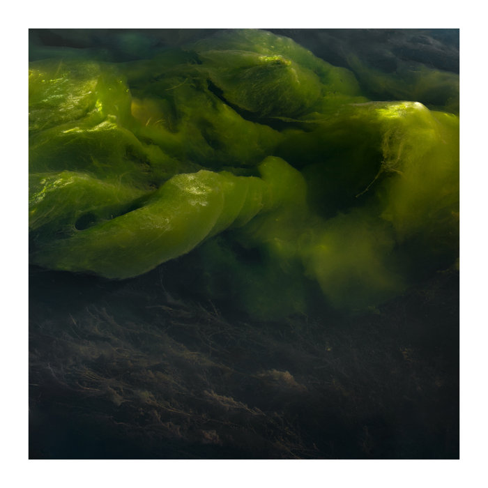 Supersede | Minced Oath | Countersunk