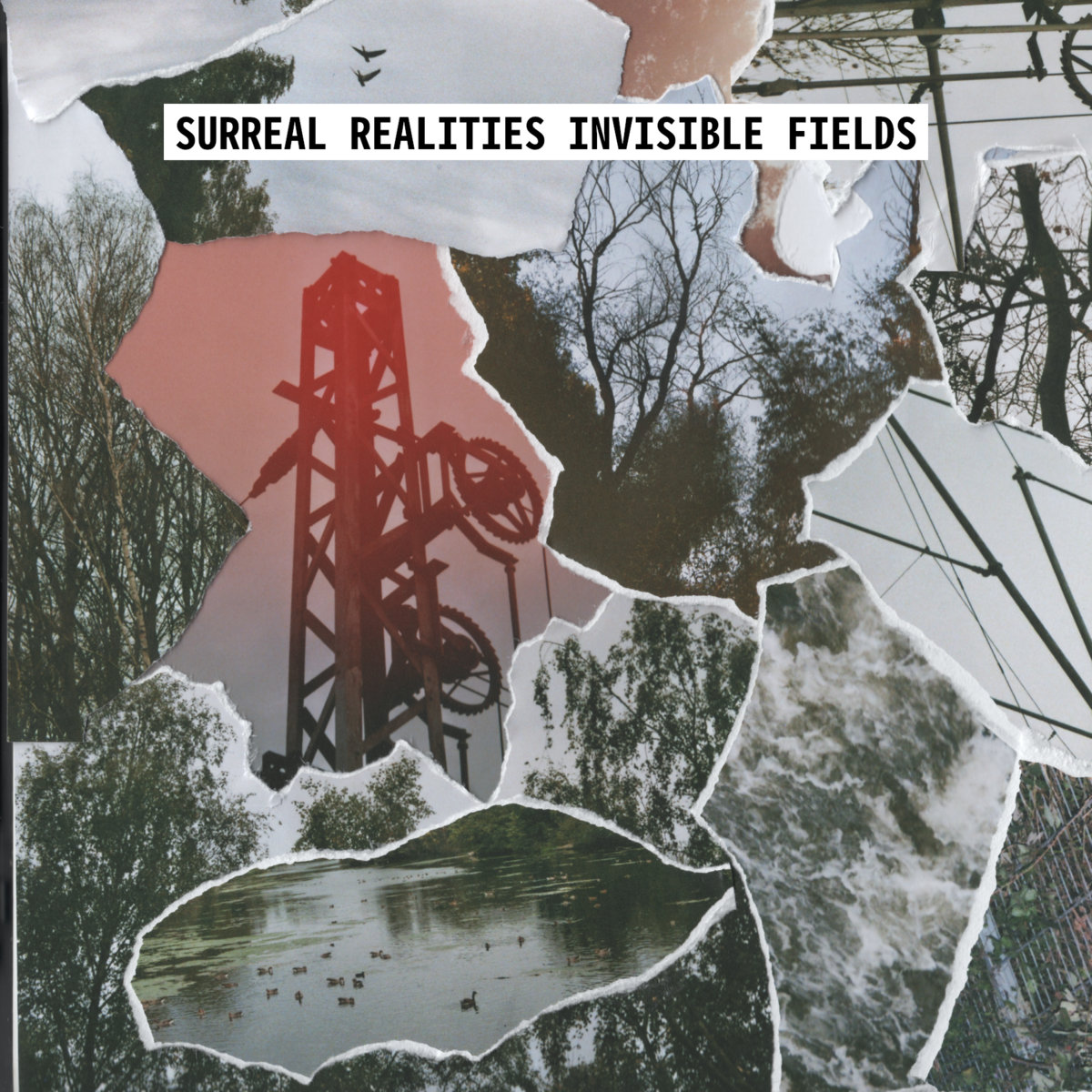 Invisible Fields | Surreal Realities