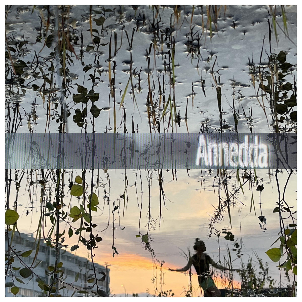 annedda [ 1 ] | gLoart