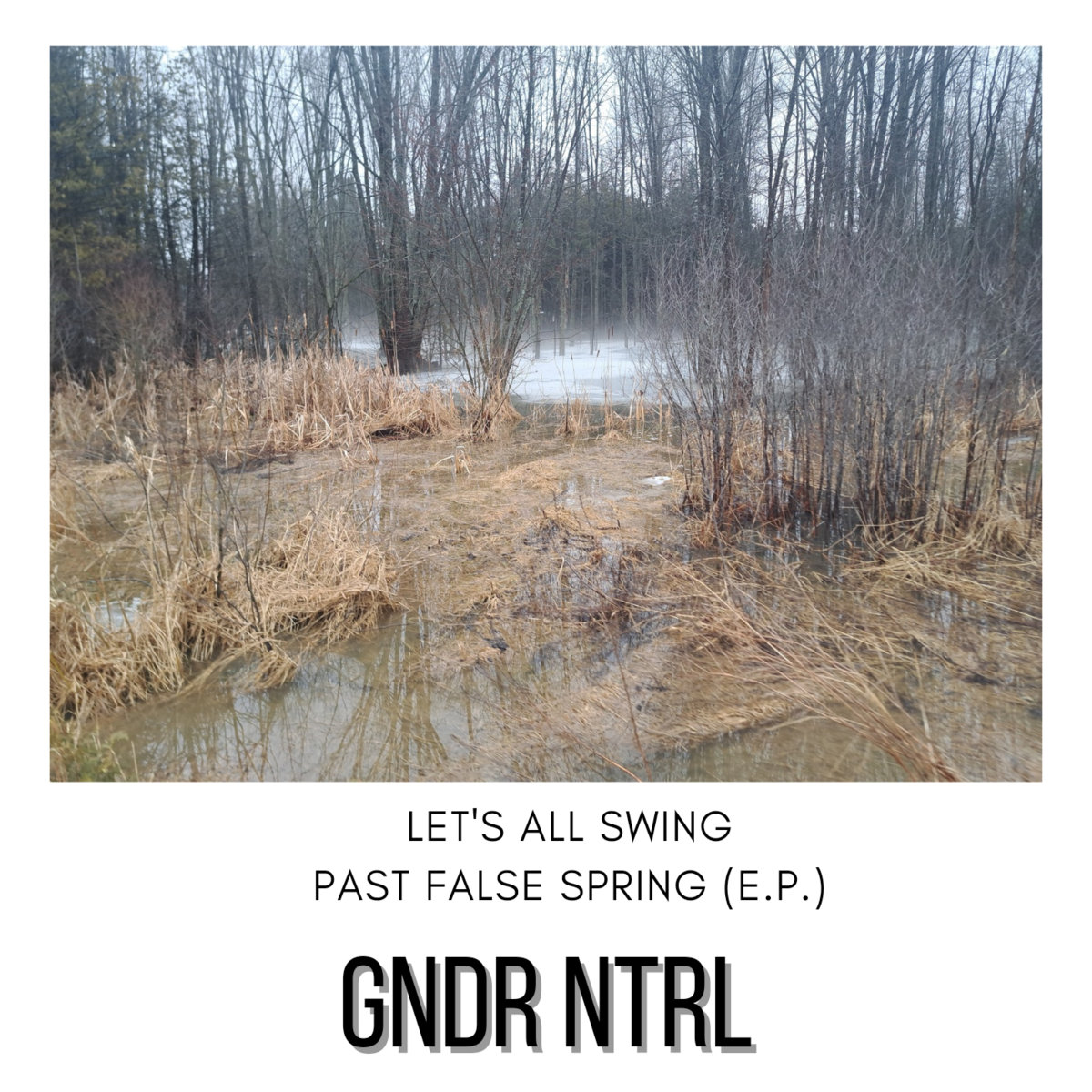 LET'S ALL SWING PAST FALSE SPRING (E.P.) | GNDR NTRL | Mar Hignett