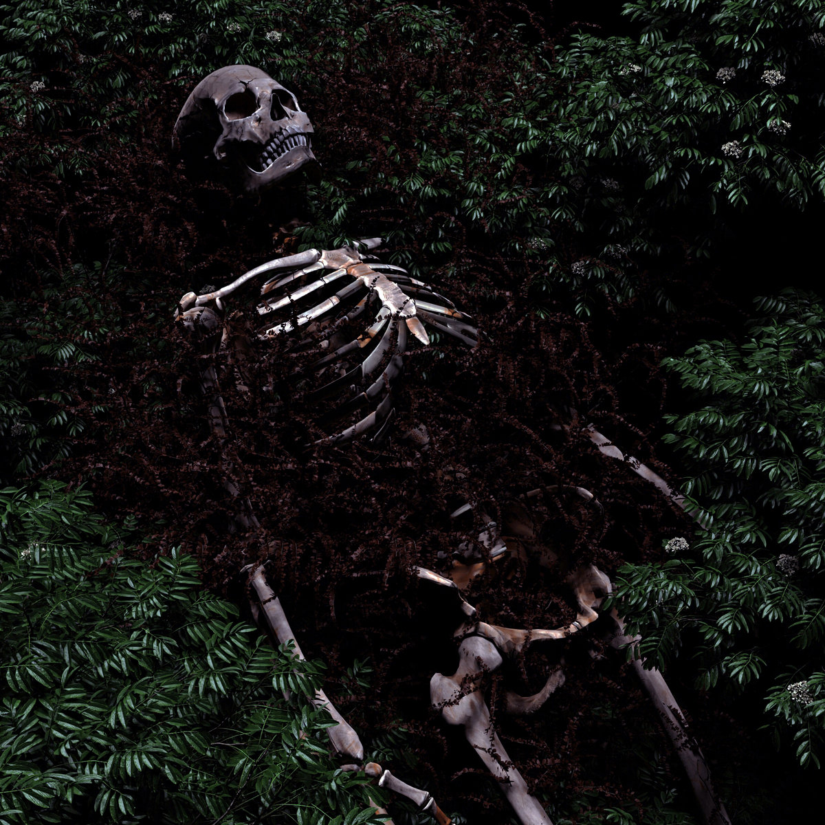 Forgotten | DIMECORE | dimecore