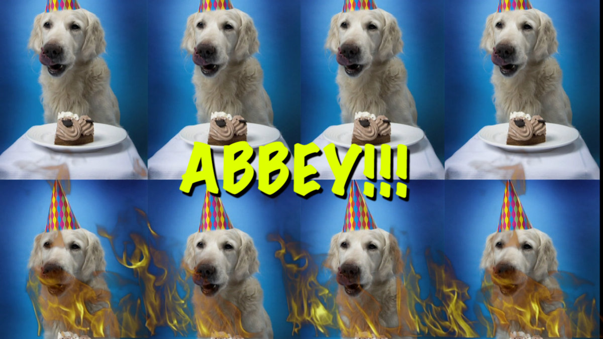 HAPPY BIRTHDAY ABBEY! | Epic Happy Birthdays