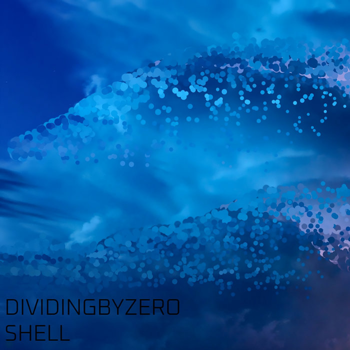 Shell | Dividing By Zero