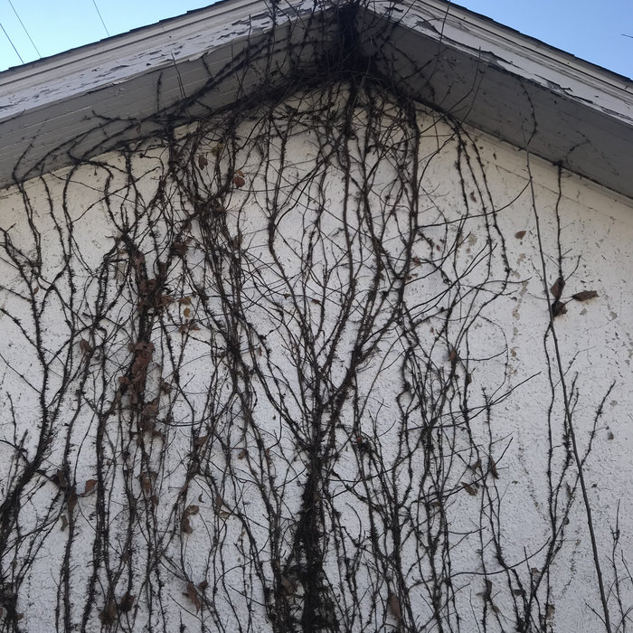 LIVE | Jacob Sunderlin