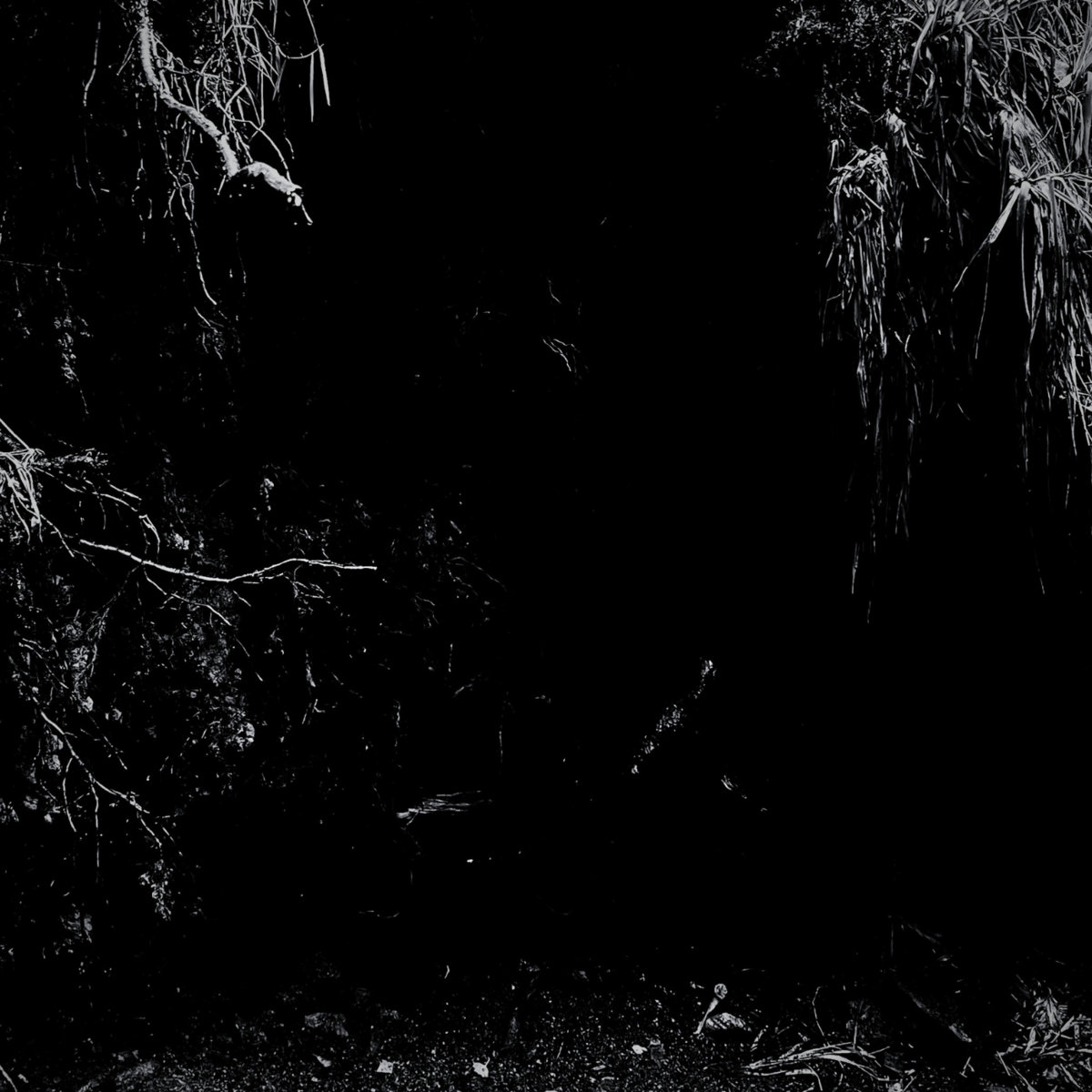 Demo | Bruul