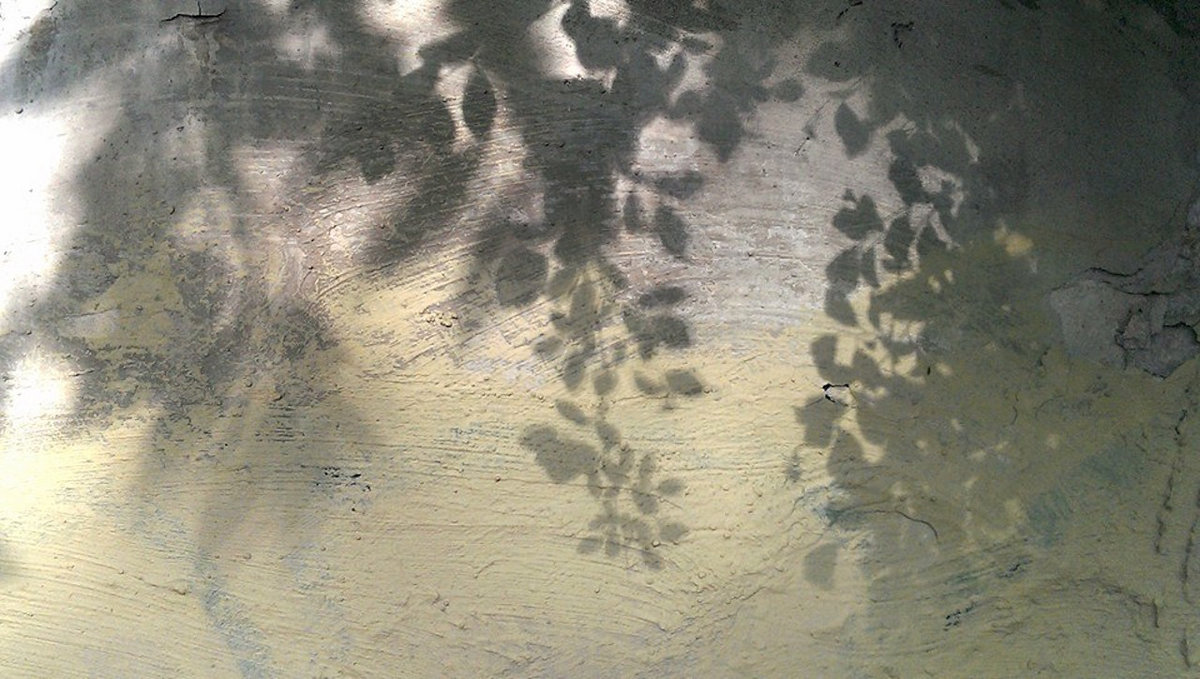 Sarah Peebles Andrew Timar, and Glen Hall part 1 | audiopollination