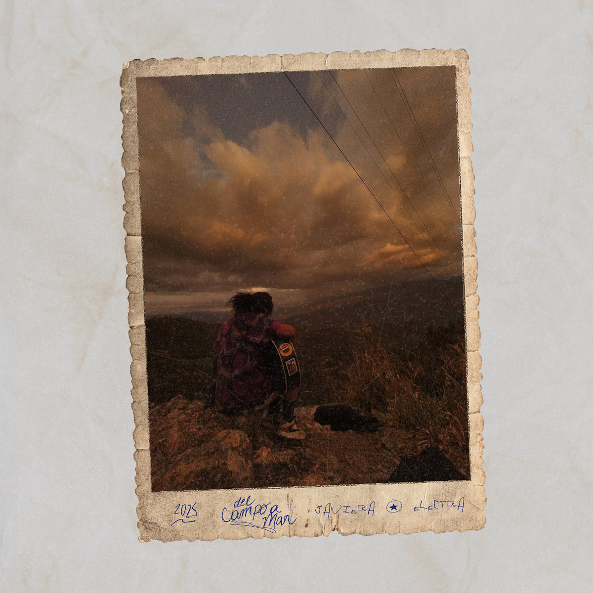 del campo a Mar | Javiera Electra