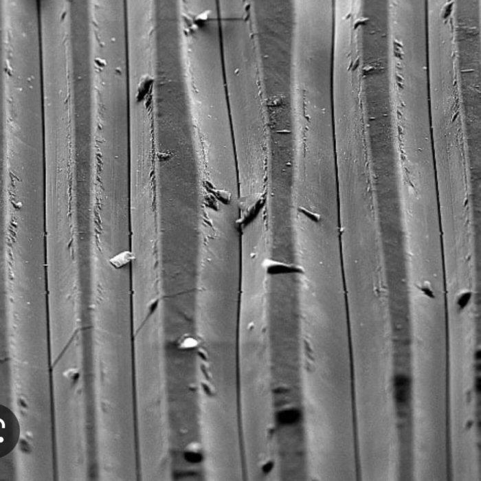 Memory loops | p.andre