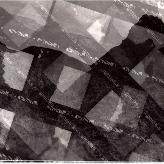 Box Elder, Cold Scholar | Cody Yantis