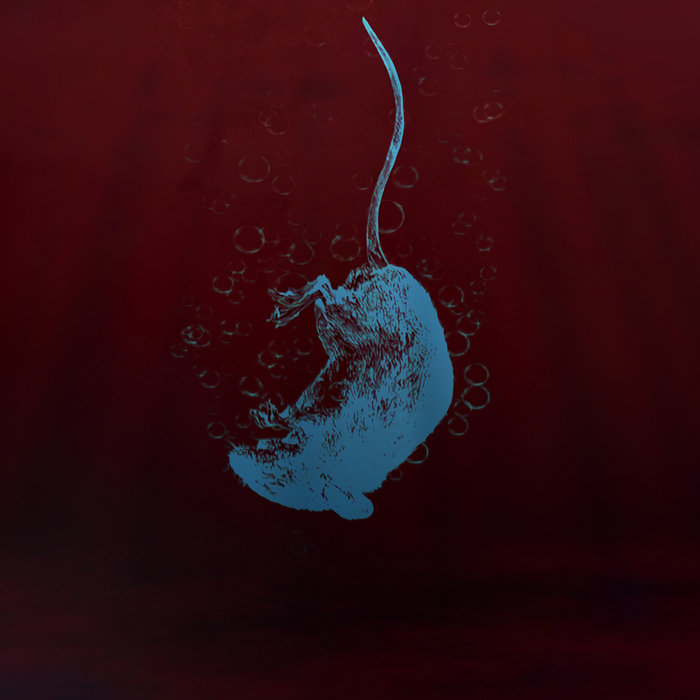 Google Groups Siberian Mouse