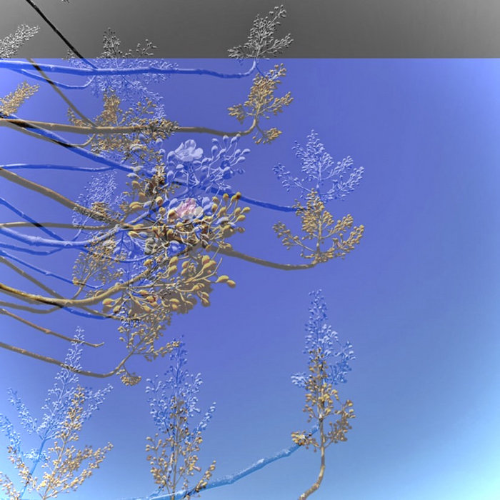 make noise in response to the state of the world | Alex Hecker