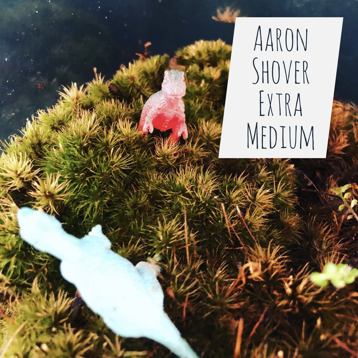 Extra Medium | Aaron Shover