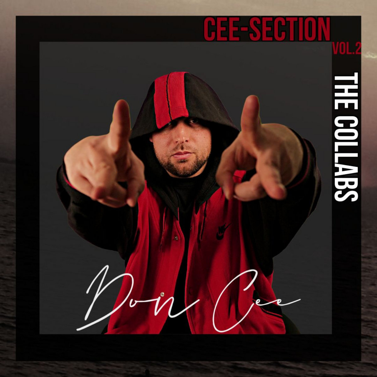 Cee-Section Vol.2 | Don Cee