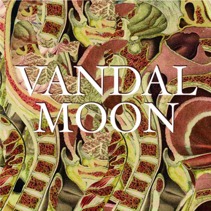 Dreamless | Vandal Moon