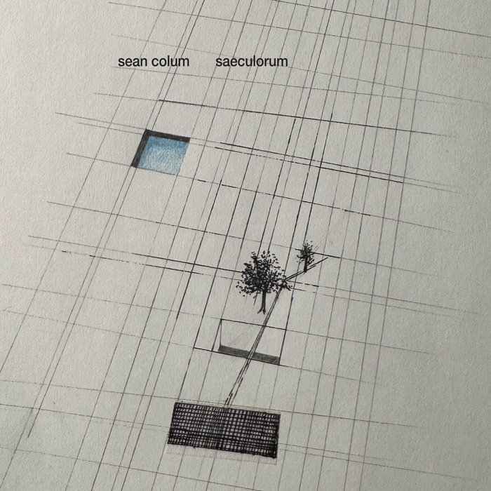saeculorum | sean colum | Zoomin' Night