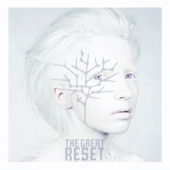 The Great Reset | We The North