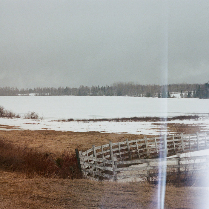 The Dusty Faces | The Dusty Faces