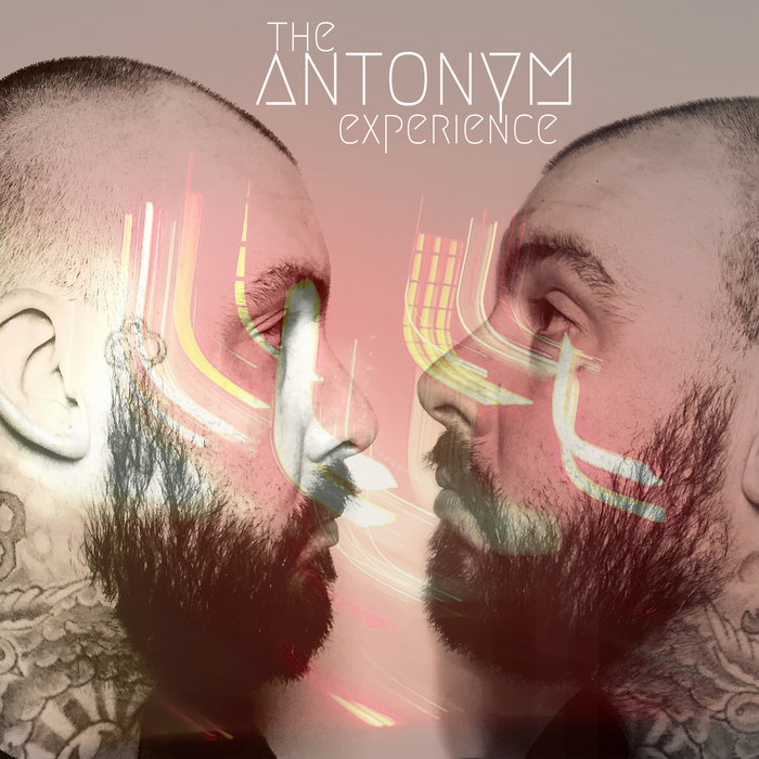 The Antonym Experience | devəlmāˈker