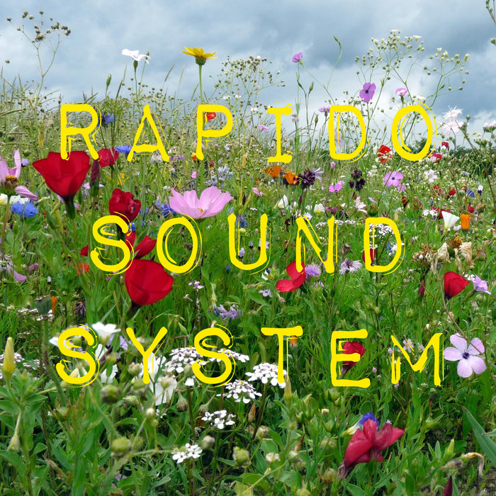 Rapido Sound System | Rapido Sound System | Zierenberger Musikwerkstätten