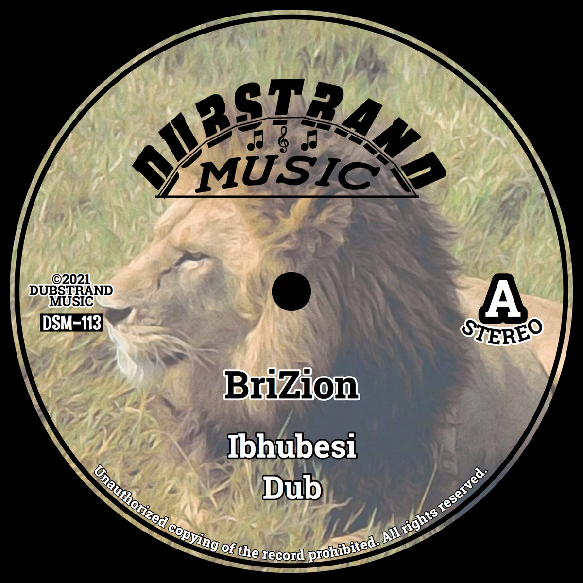 Ibhubesi | BriZion