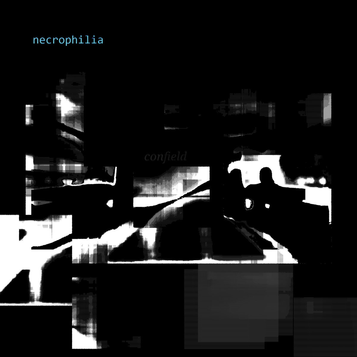 Necrophilia | Confield