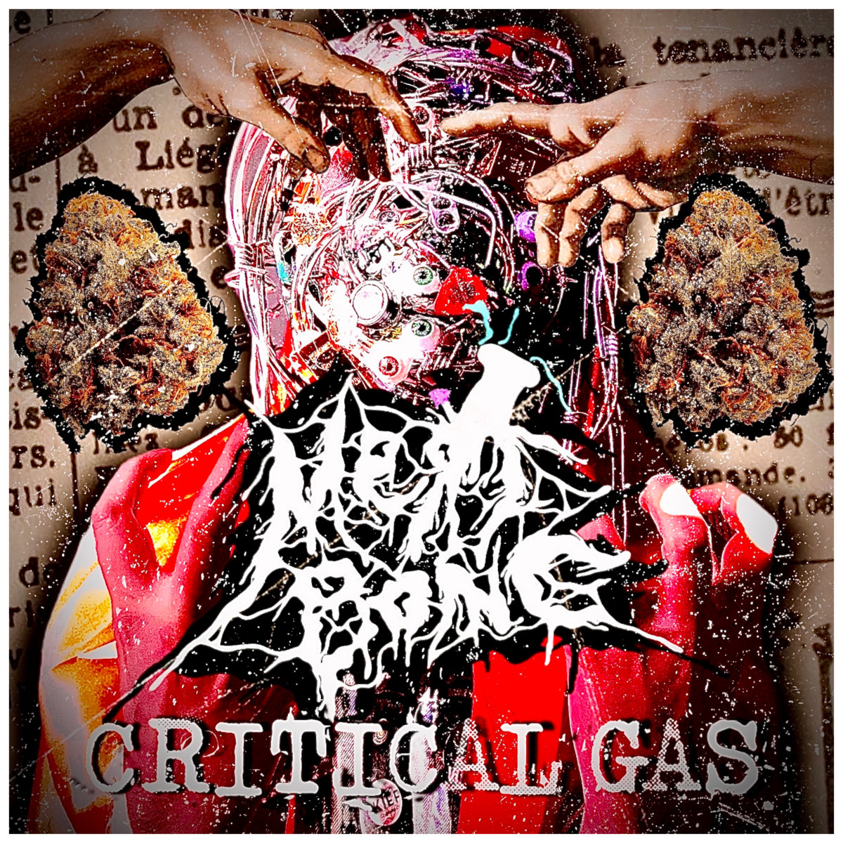 CRITICAL GAS - EP | MEAT BONG | VOIDFACE OFFICIAL