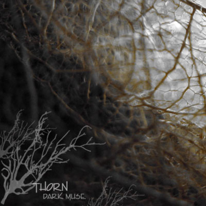 THORN | Dark Muse