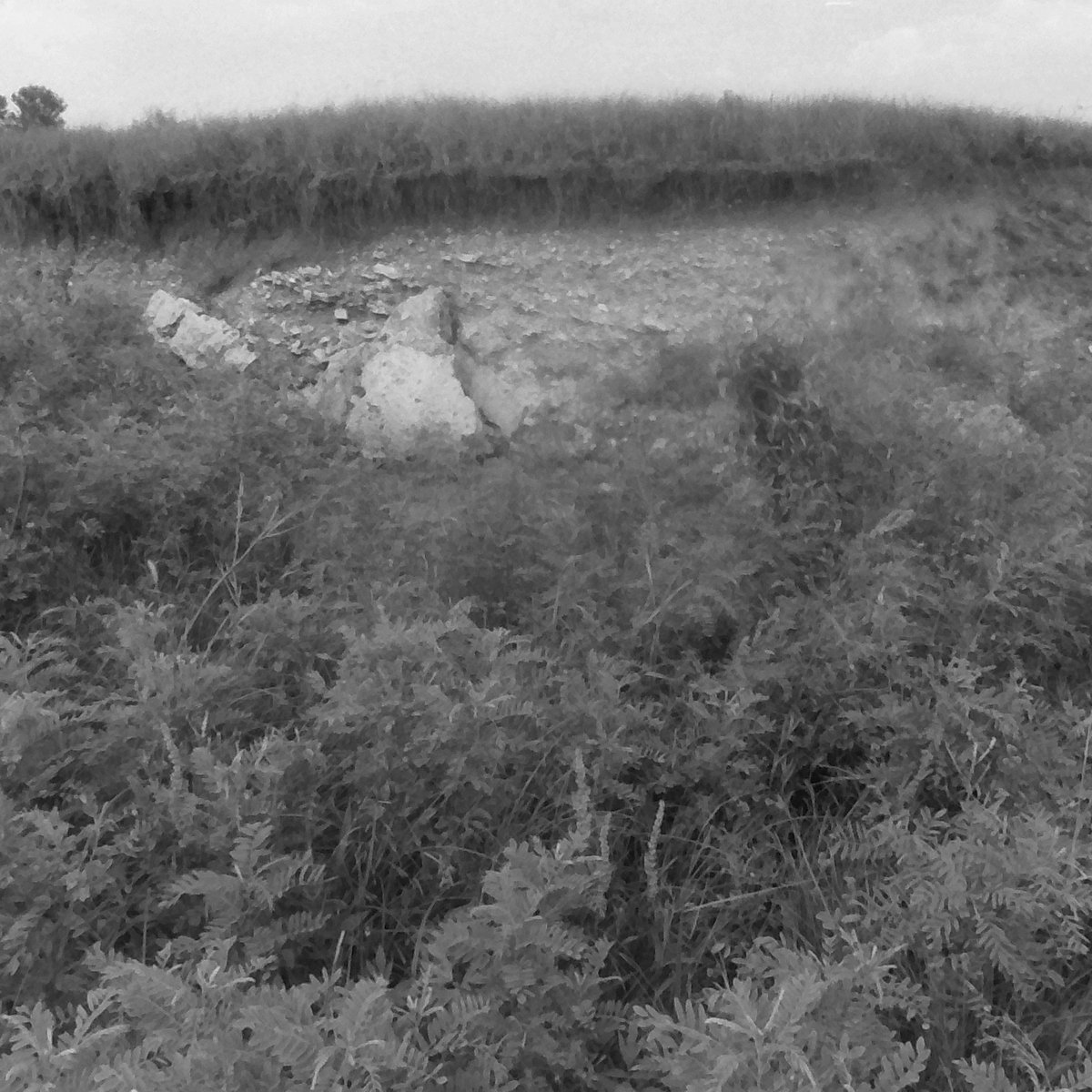 The Land Ethic, First Autumn 2022 | Andrew Weathers