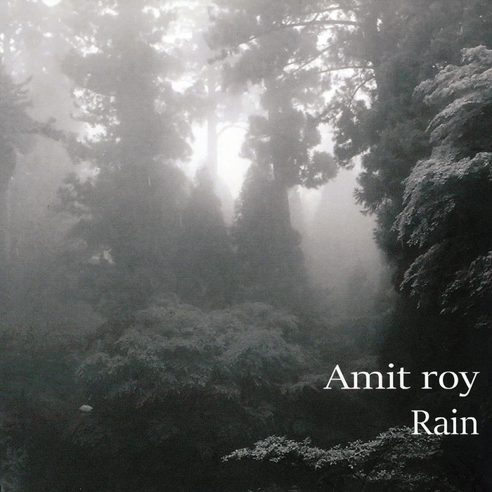 Rain | Amit Roy