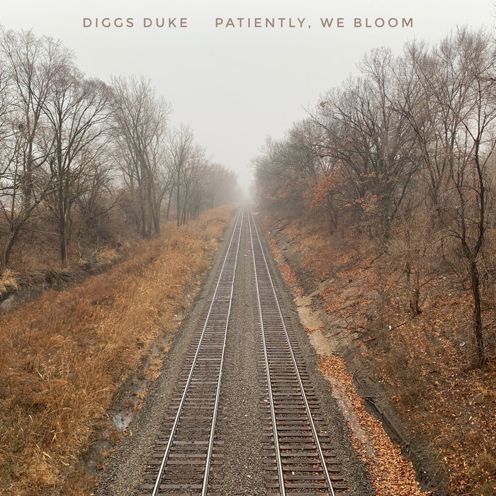 Patiently, We Bloom | Diggs Duke
