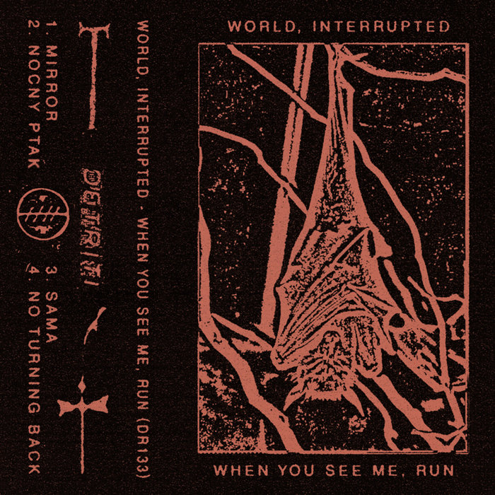 When You See Me, Run | World, Interrupted