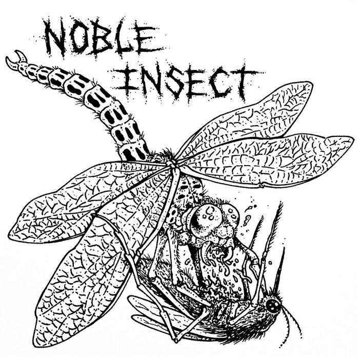 Demo | Noble Insect