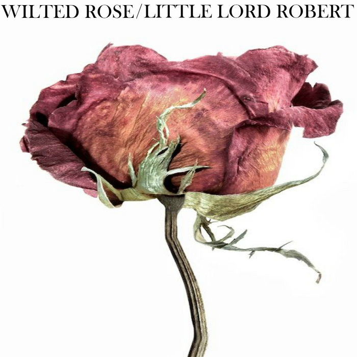 Wilted Rose | Little Lord Robert