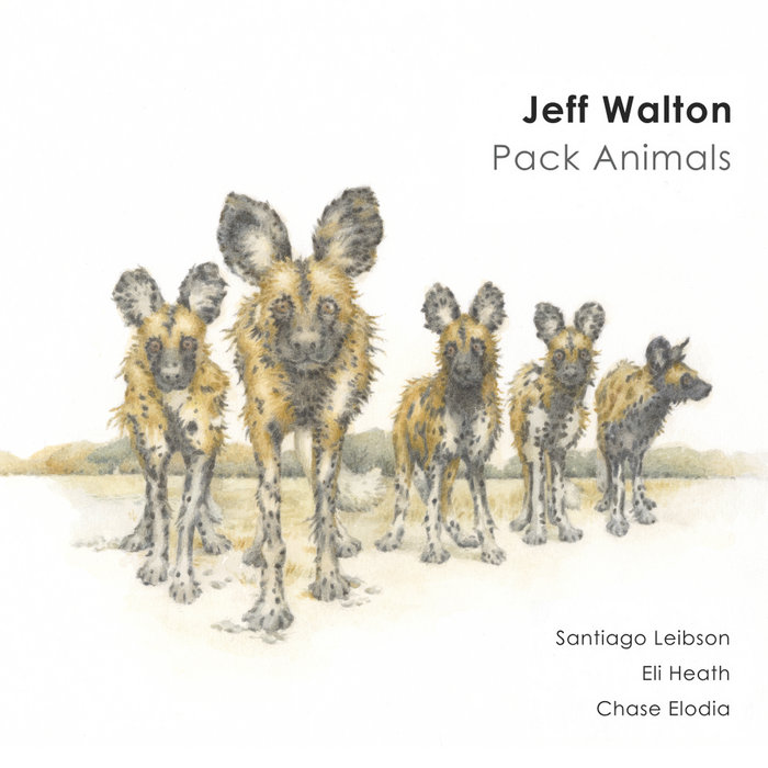 Pack Animals | Jeff Walton