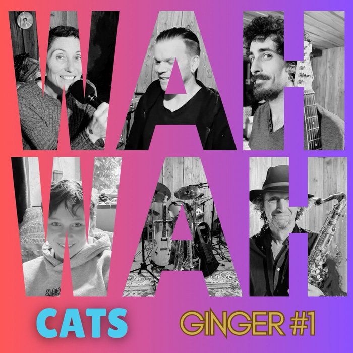 Ginger #1 | Wah Wah Cats