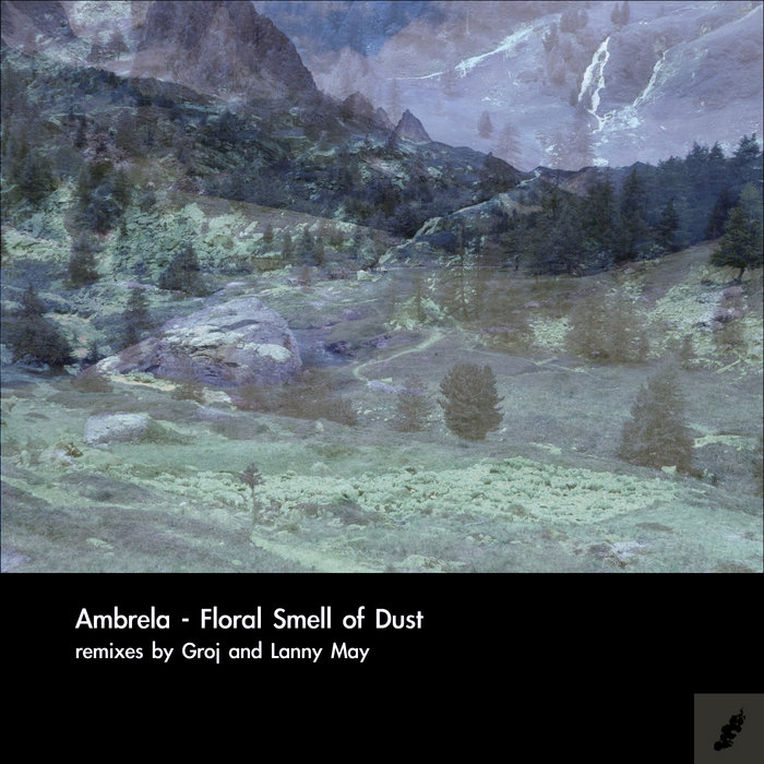Floral Smell Of Dust | Ambrela | boxx records