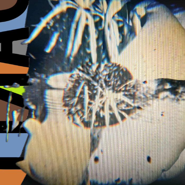 Freightage | DAKTYLOI