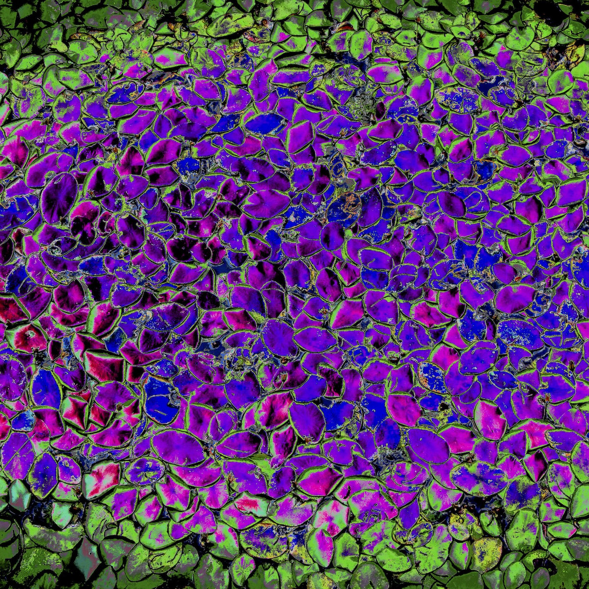 VOYAGE | Pierre Chartier