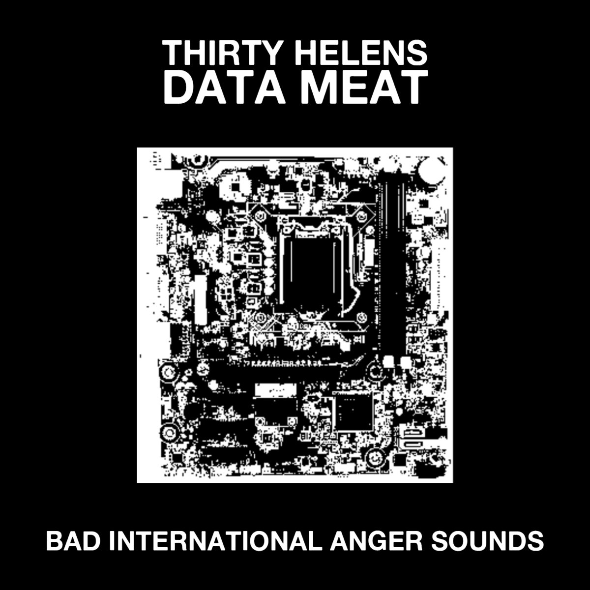 DATA MEAT | THIRTY HELENS