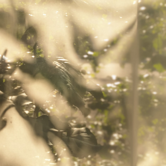 Meat Computer | Massive Head