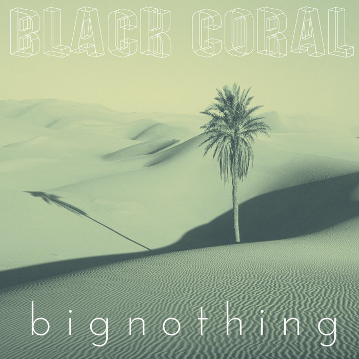 big nothing | Black Coral