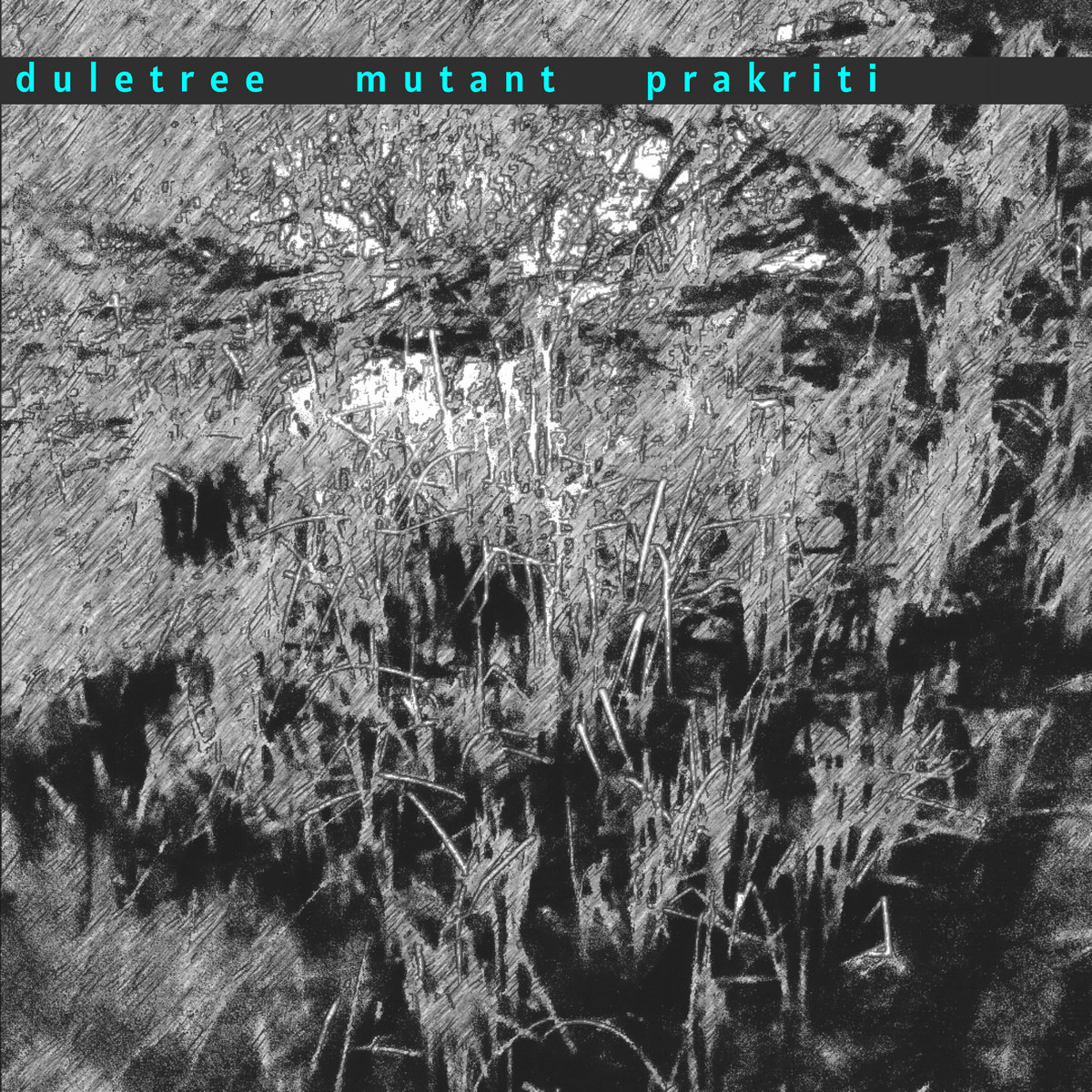 Split | Dule Tree, Mutant, Prakriti | Vlad Rat