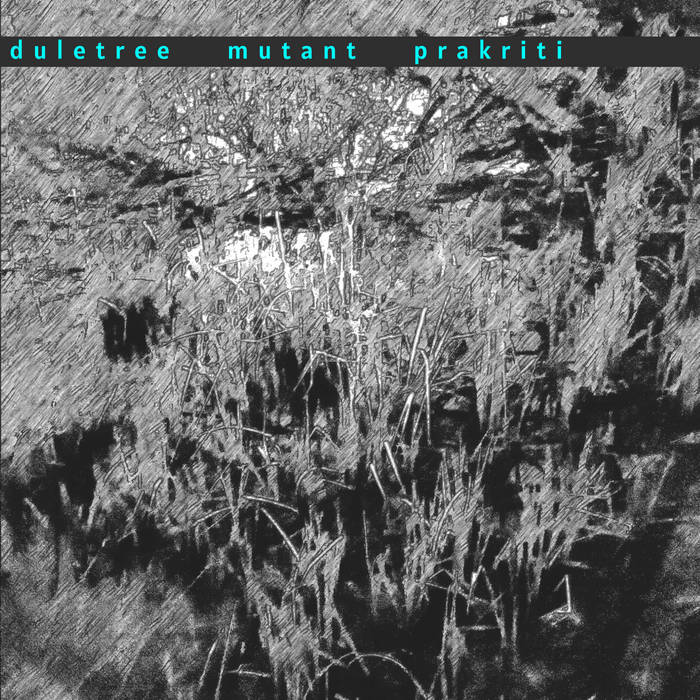 Split | Dule Tree, Mutant, Prakriti | Vlad Rat