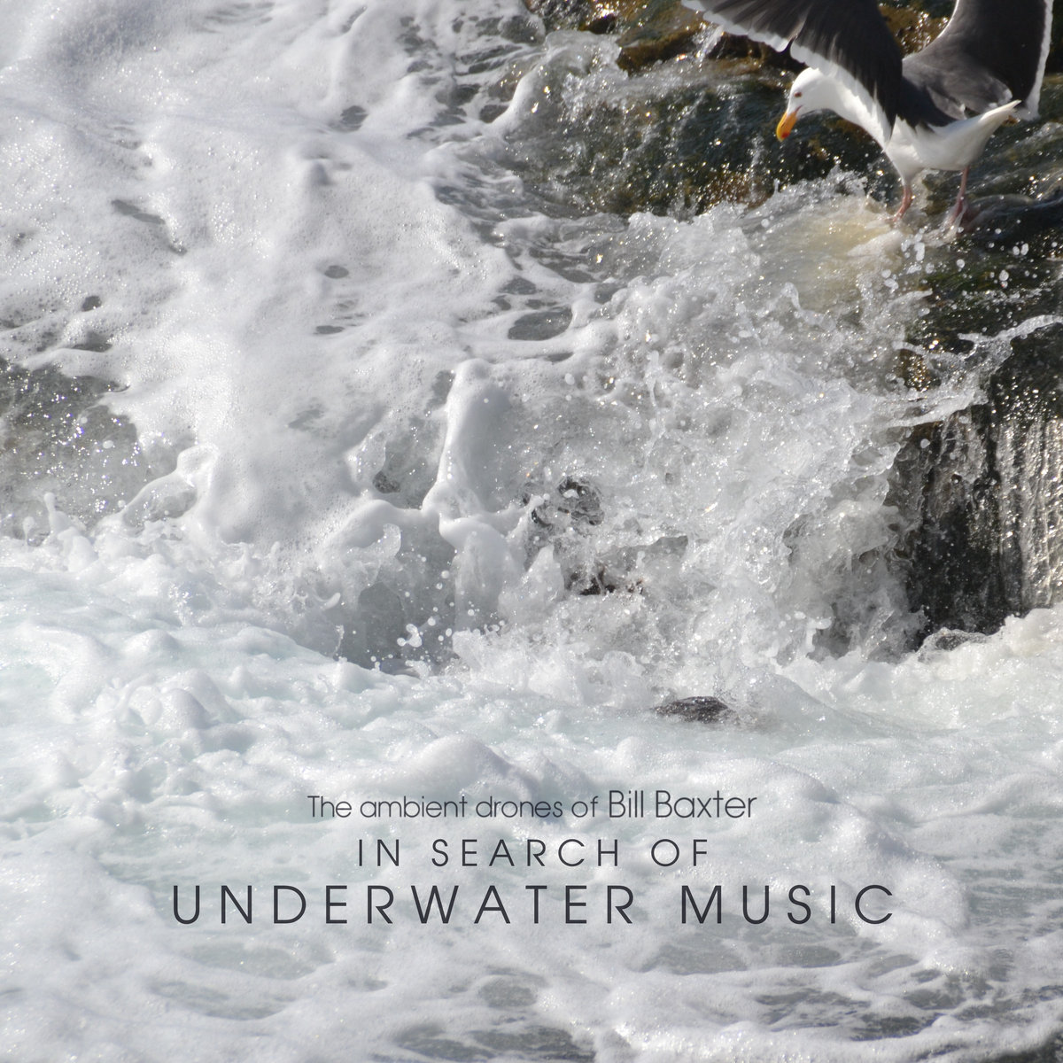 In Search of Underwater Music | The ambient drones of Bill Baxter