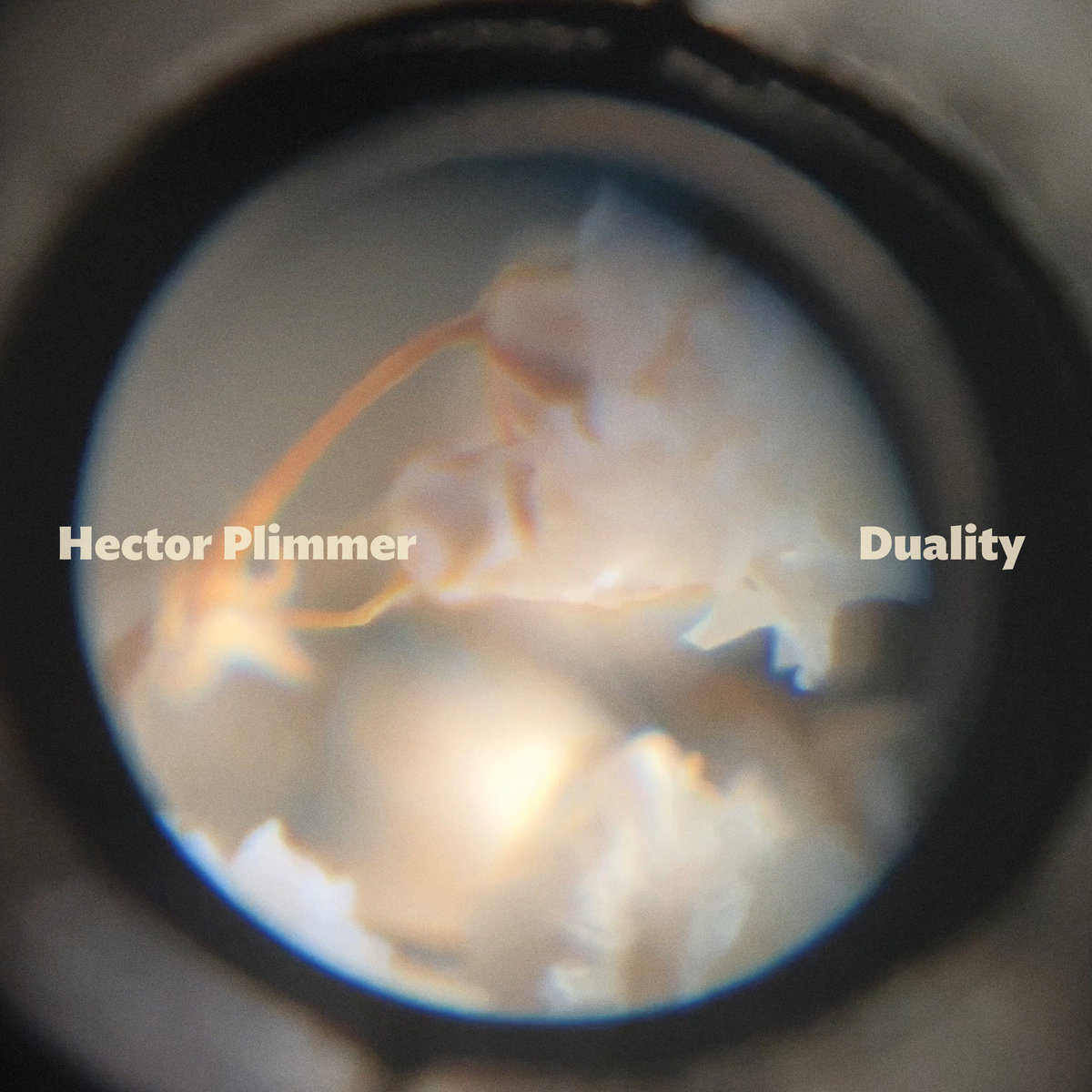 Duality | Hector Plimmer