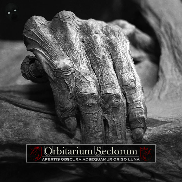 Apertis Obscura Adsequamur Origo Luna | Orbitarium Seclorum